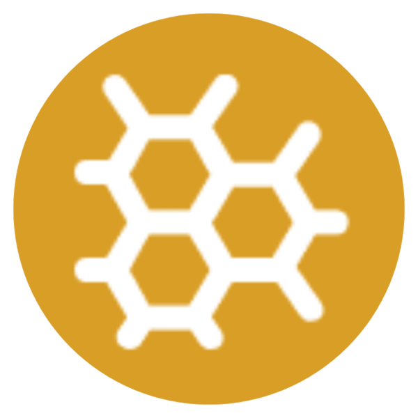 Rigevidon vs Microgynon : Which Contraceptive Pill Is For You ...